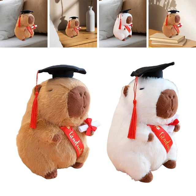GRADUATION CAPYBARA DOLL Plush Capybara Toy Adorable 25cm Simulation ...