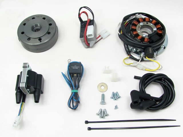 POWERDYNAMO VAPE IGNITION System Stator for Yamaha Early TZ 2Cylinder ...