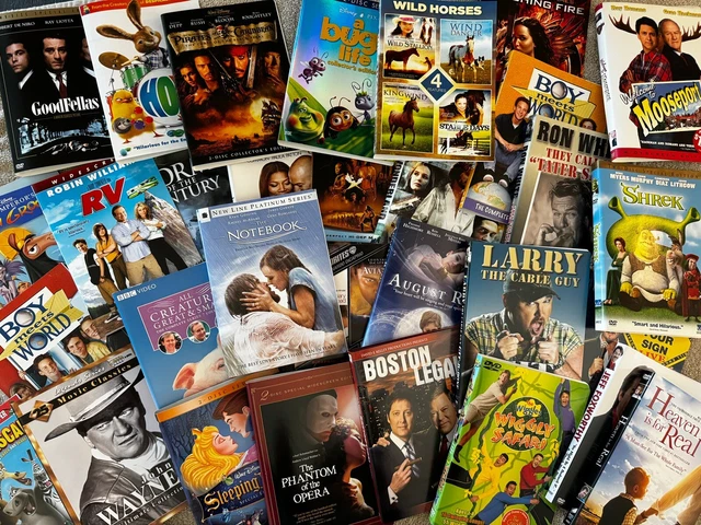 WHOLESALE ASSORTMENT - 100 DVD / Movie COVER ART ONLY, Wall, Collage ...