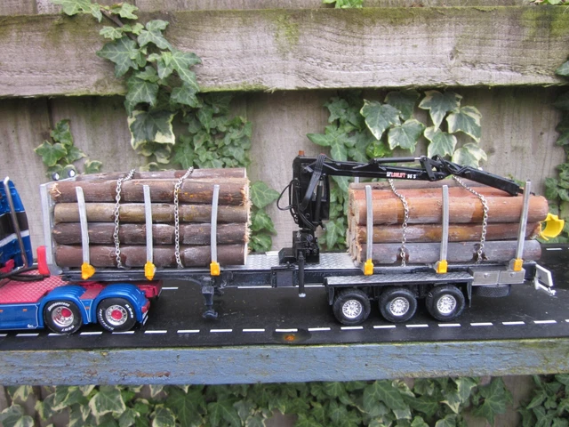CODE 3 WSI loaded Tri AxleLoaded logging Trailer with Tekno LogLift ...