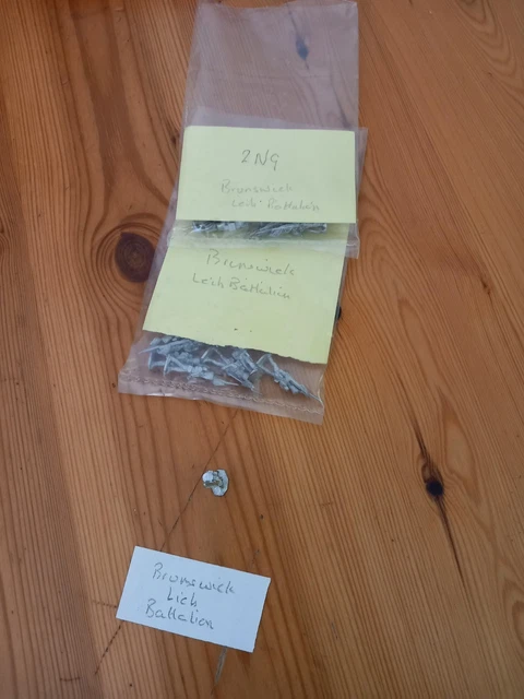 15MM MINIFIGS NAPOLEONIC Brunswick Lieb Battalion £2.70 - PicClick UK