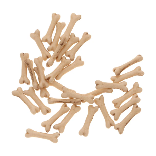 30 PCS SMALL Human Skeleton Bone White Fake Halloween Model £6.55 ...
