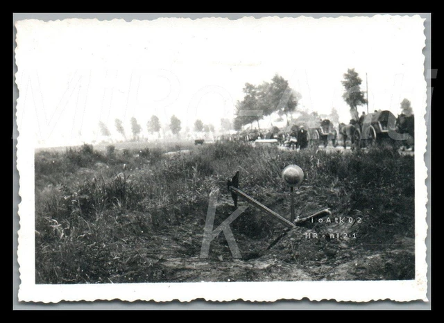 FOTO, WK2, 269.INF.DIV., Belgien, Grab eines belgischen Soldaten, L328L ...