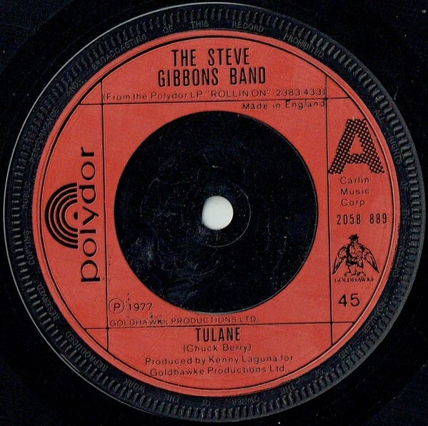 STEVE GIBBONS BAND - Tulane (7 Zoll Single) EUR 11,88 - PicClick DE