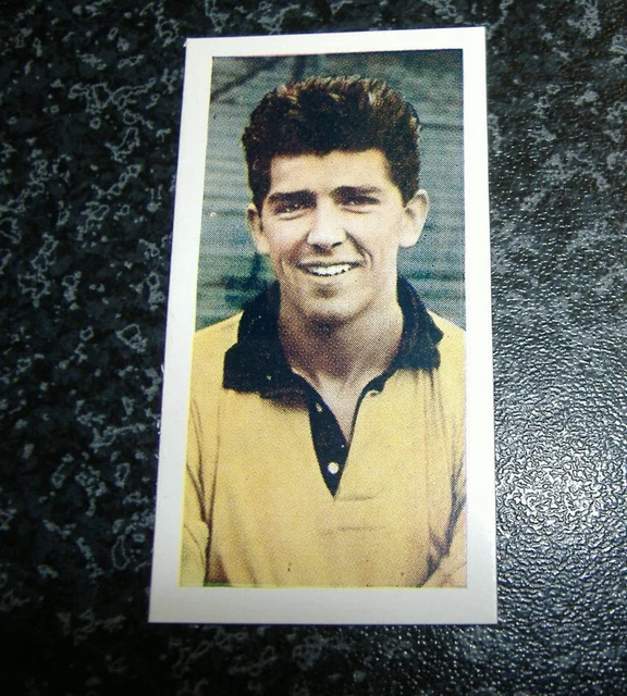CADET SWEETS FOOTBALLERS 1956 Series No19 - Colin Booth, Wolves £1.25 ...
