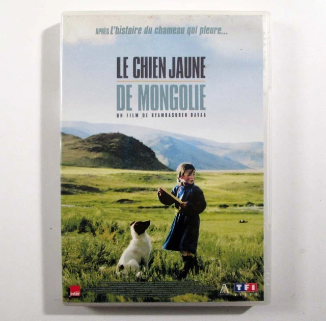 LE CHIEN JAUNE de Mongolie de Byambasuren Davaa DVD 2005 EUR 4,50 ...