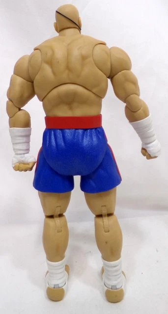 JADA TOYS FIGURA De Acción Street Fighter II Sagat 1:12 Completa EUR 34 ...