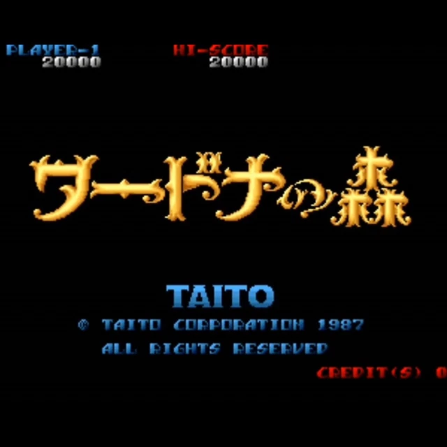 CARTE P.C. ARCADE SYSTEM JAMMA RPG Utilisée Wardner No Mori Taito 1987 EUR 739,62 - PicClick FR