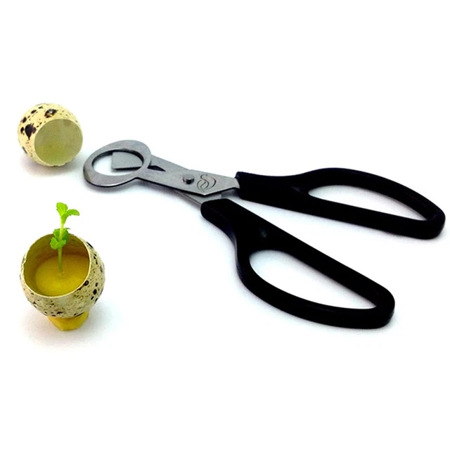 PIGEON QUAIL EGG Scissor Bird Cutter Opener Egg Slicers Kitchen Tool ...