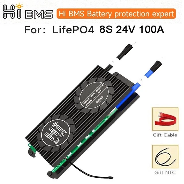 LIFEPO4 8S 24V 100A BMS Smart BMS Battery Protection Common Port w ...