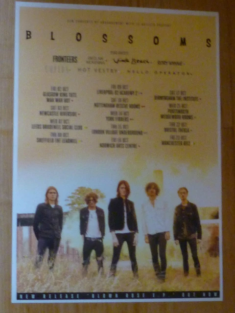 BLOSSOMS CONCERT POSTER - UK Tour 2015 -- live music band show - Gig ...