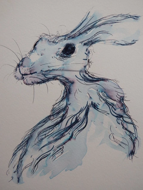ORIGINAL PEN & ink drawing of the face head of a hare on watercolour ...