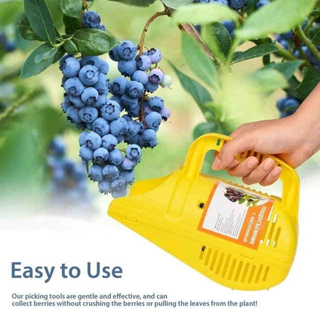 EFFICIENT BERRY PICKER with Comb Teeth for Gentle Collection of Mini ...