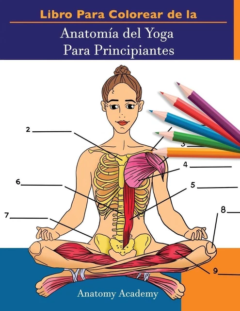 LIBRO PARA COLOREAR de la Anatomía del Yoga Para Principiantes ...
