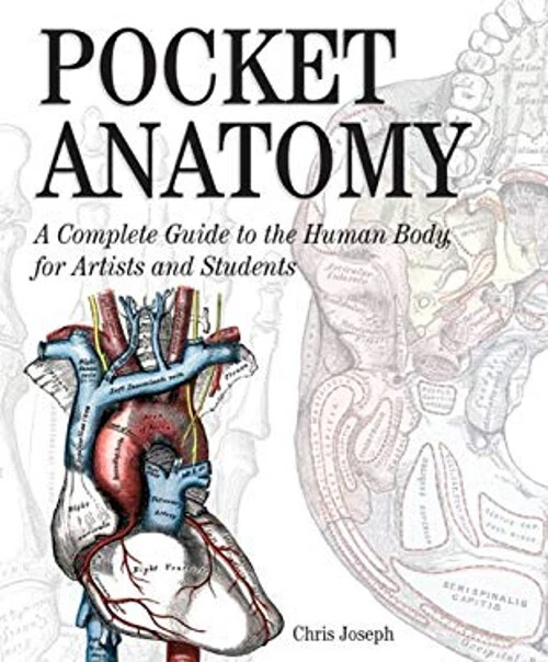 POCKET ANATOMY: A Complete Guide to the Human Body for Artists & EUR 7 ...