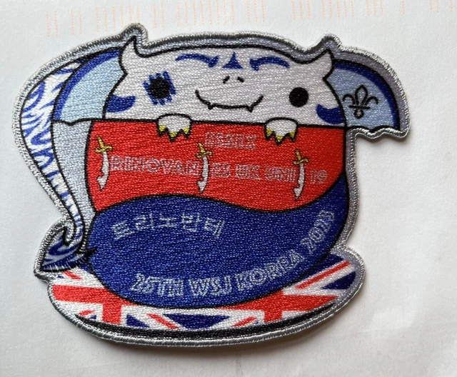 25TH WORLD SCOUT Jamboree WSJ 2023 Korea badge Unit 19 £24.00 - PicClick UK