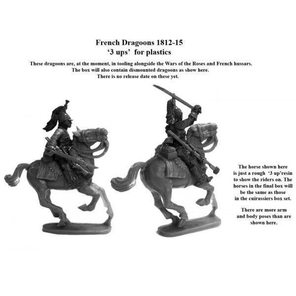 FRENCH NAPOLEONIC LINE Dragoons 28mm figures x21 Perry FN130 EUR 38,21 ...