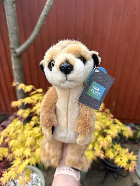 DAVID ATTENBOROUGH BBC Earth Meerkat Soft Plush Toy Approx 11" Tall ...