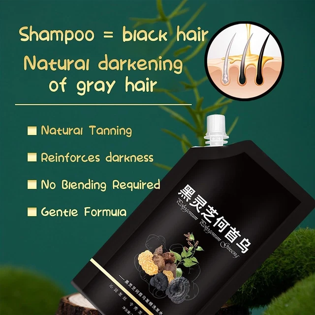 DR. WEN BLACK Ganoderma Polygonum Shampoo, Black Ganoderma and ...