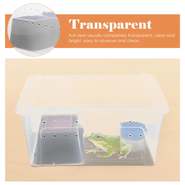 SET SCATOLA ALLEVAMENTO insetti rettili per lucertole, ragni e ...