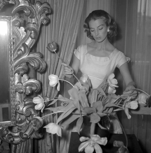 CAPUCINE FRENCH MODEL and actress 1955 OLD PHOTO 3 £5.60 - PicClick UK