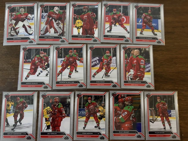 CARDIFF DEVILS BLINDSIDE Trading Cards. 2024/25. FULL SET of B 1-14. £8 ...