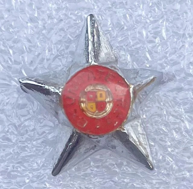 SOUTH AFRICA (SADF) Officer 5-Point Star Rank Insignia Chrome Mess ...