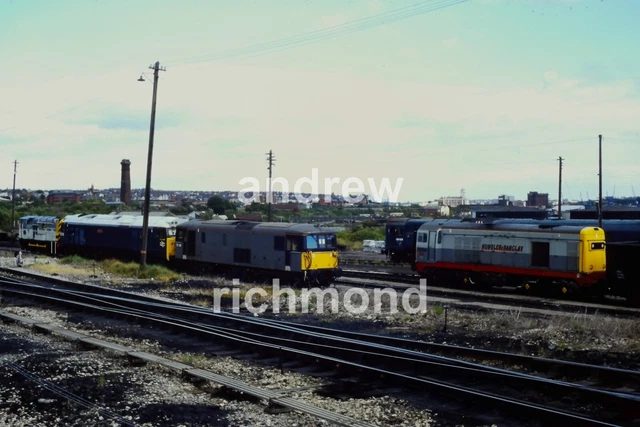 50019 CLASS 50 73136 Class 73 20906 Class 20 Barry Open Day Aug 1990 ...