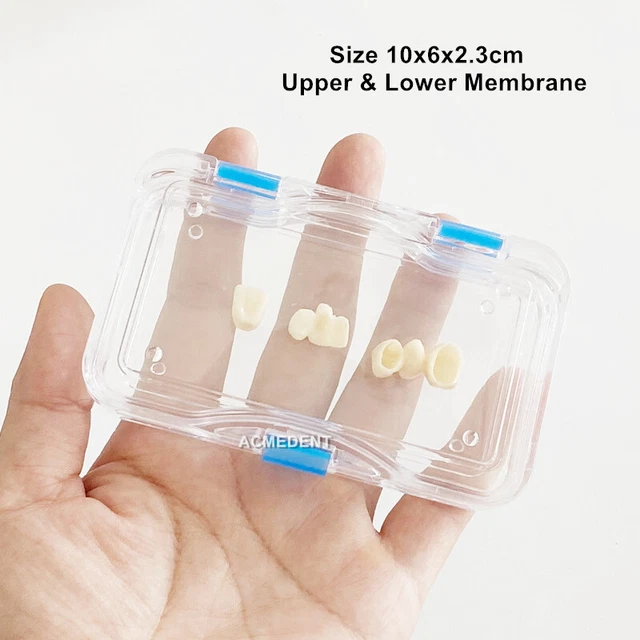 DENTAL DENTURE MEMBRANE Case Hinged Inlay Onlay Crown Porcelain Veneers ...