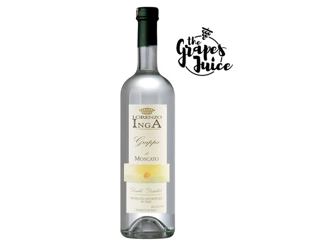 LORENZO INGA GRAPPA De Muscat Piémont EUR 48,52 - PicClick FR