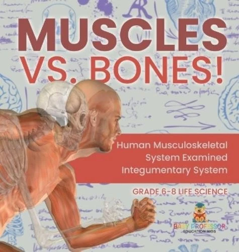 BABY PROFESSOR MUSCLES vs. Bones! Human Musculoskeletal System Examined ...