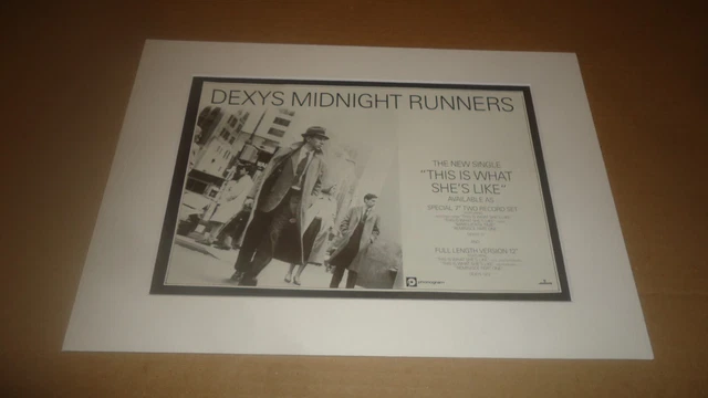 Dexys Midnight Runners This Is What Shes Like Mounted Original Advert Eur 1423 Picclick It