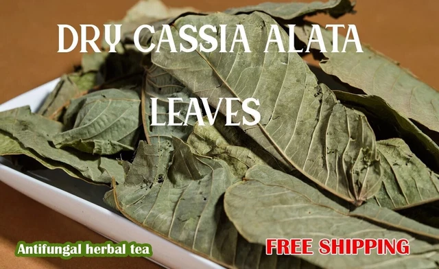 CASIA ALATA LEAVES powder for Skin rash Mould and fungus smooth skin ...