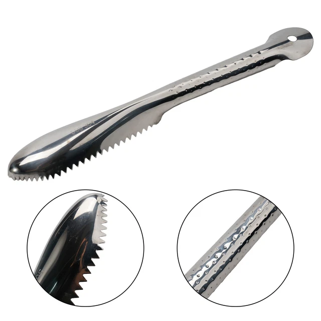 DOUBLE ROW STAINLESS Steel Fish Scaler Descaler Peeler Scraper with ...