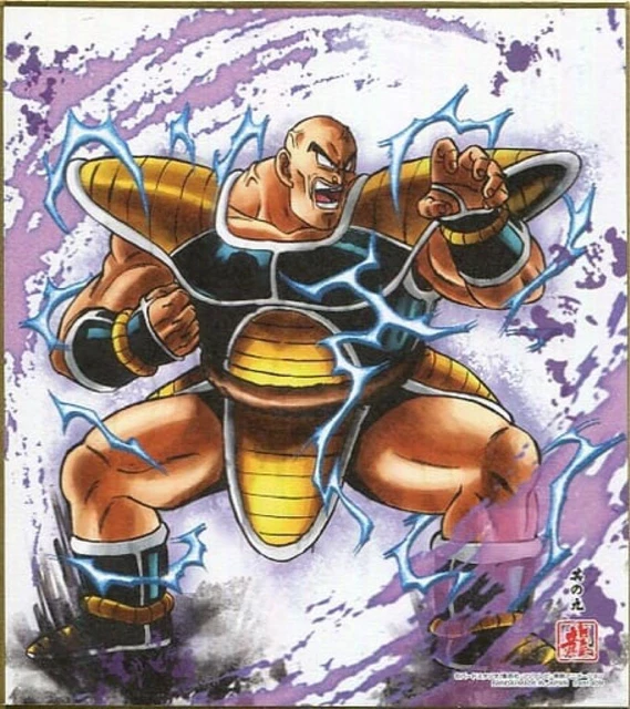DRAGON BALLZ NAPPA Visual Shikishi Akira Toriyama EUR 118,58 - PicClick FR
