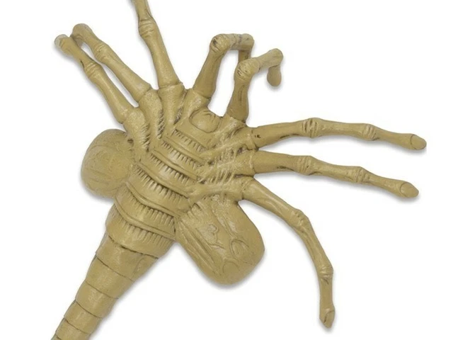 ALIEN COVENANT FACEHUGGER 1:1 Scale Life-Size Prop Replica Face Hugger ...