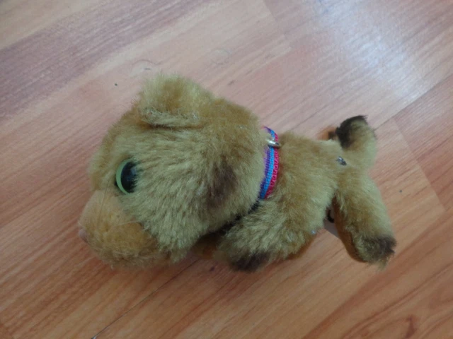 VÉRITABLE LE CHAT Artlist Collection 10.2cm Sam The Somali Peluche EUR ...