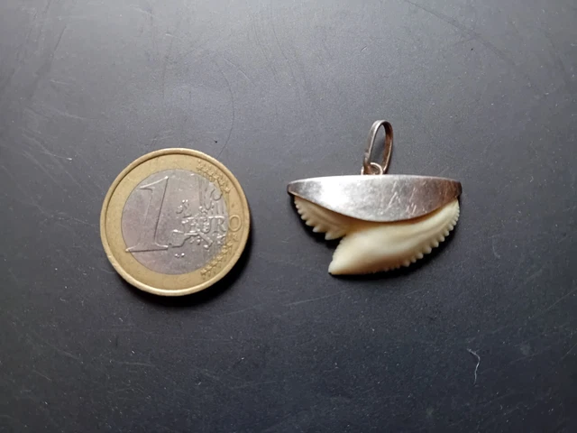 PENDENTIF VRAIE DENT de requin monture argent - real Shark tooth silver pendant EUR 15,00 ...