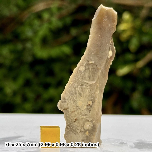 RARE NEOLITHIC SCRAPER Artefact British Stone Age Tool Lithic from ...