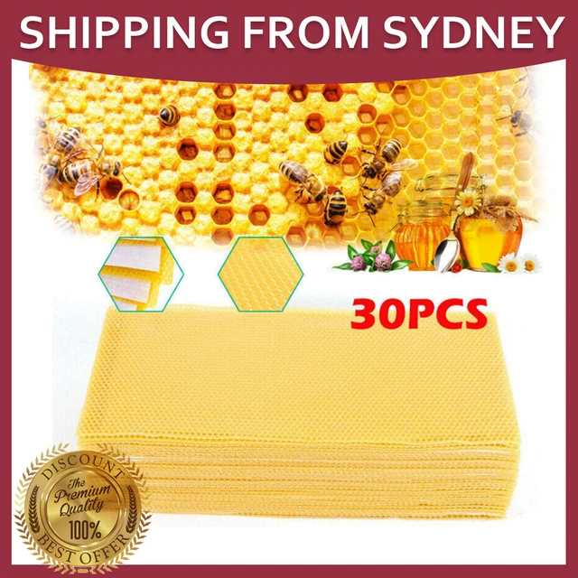 30PC BEE HIVES Wax Frames Honeycomb Foundation Sheets Beekeeping Honey ...