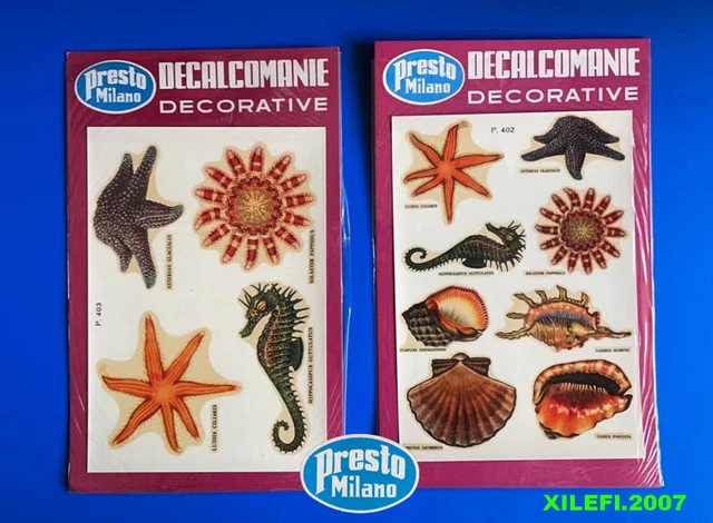 CONCHIGLIE STELLE MARINE ippocampo decalcomanie decorative anni 70 ...