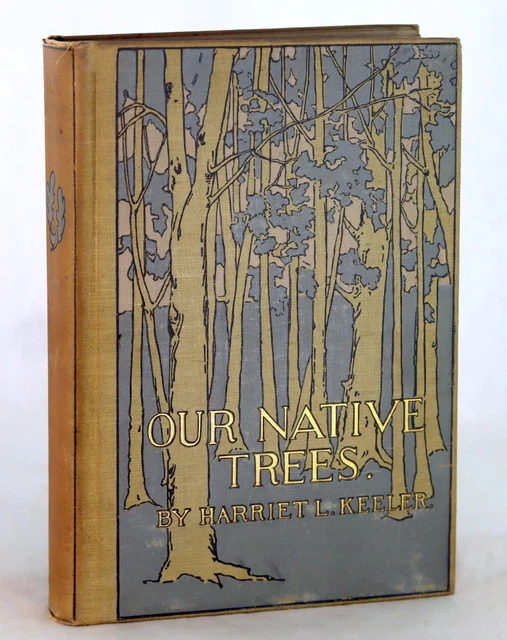 OUR NATIVE TREES And How To Identify Them A Po Keel OUR NATIVE TREES And How To Identify Them A Po Keel