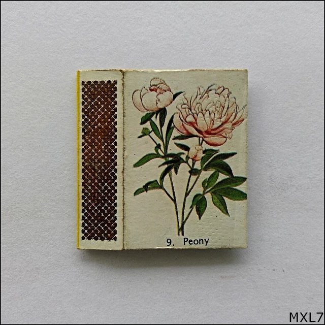 THE GOOSE SAFETY Matches #9 Peony Matchbox Label (MXL7) $4.99 - PicClick AU
