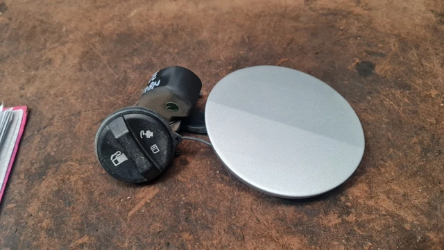 HOLDEN VE COMMODORE Sedan Petrol Fuel Flap & Cap Paint Code : 348N ...
