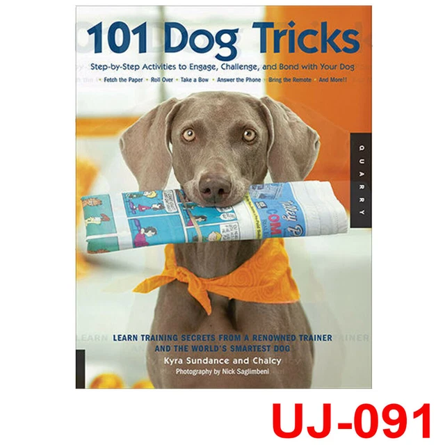 101 DOG TRICKS Step-by-step Activities to Engage Challenge By Kyra ...