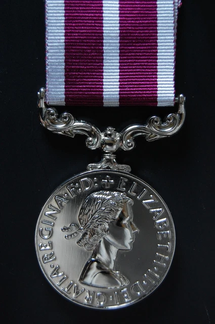 (SILVER) ER Ii Meritorious Service Medal. EUR 35,53 - PicClick IT