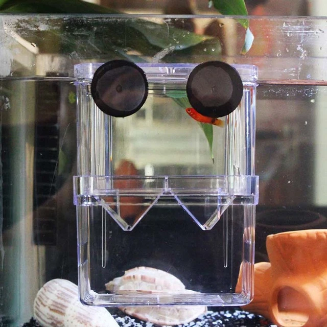 FISH HATCHERY BOX Breeding Aquarium Tank Spawning Nest Transparent ...
