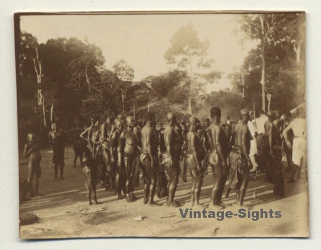CONGO-BELGIAN: DANCE OF Indigenous Tribe *4 / Wananda (Vintage Photo ...
