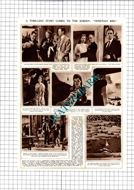 MARGOT GRAHAME SIDNEY James Richard Todd Bartok Venetian Bird - 1952 ...