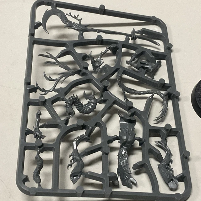 SYLVANETH BRANCHWYCH, NEW on sprue, Warhammer Age of Sigmar Games ...